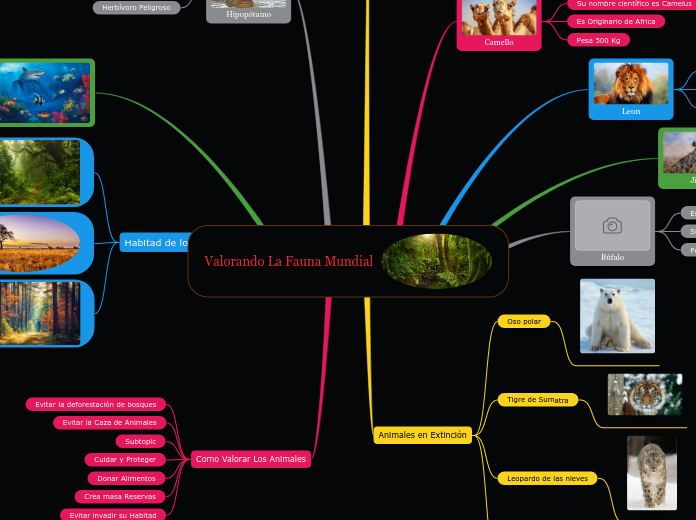 Valorando La Fauna Mundial - Mind Map
